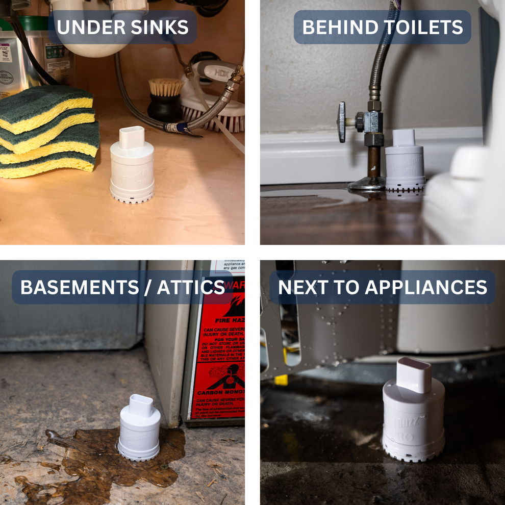 Flood Buzz® Pro: Multi-Purpose Water Leak Alarm - Quarter and Full Cas