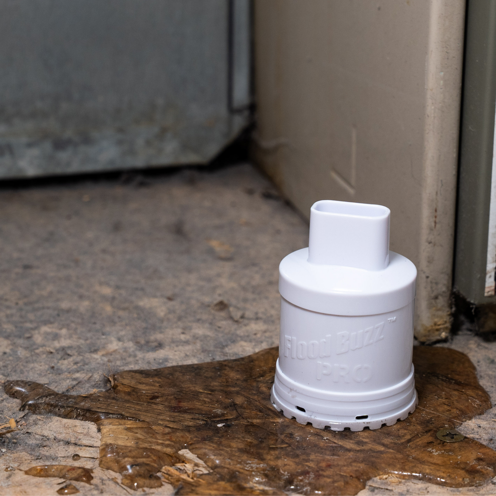 Flood Buzz® Pro: Multi-Purpose Water Leak Alarm - Quarter and Full Cas